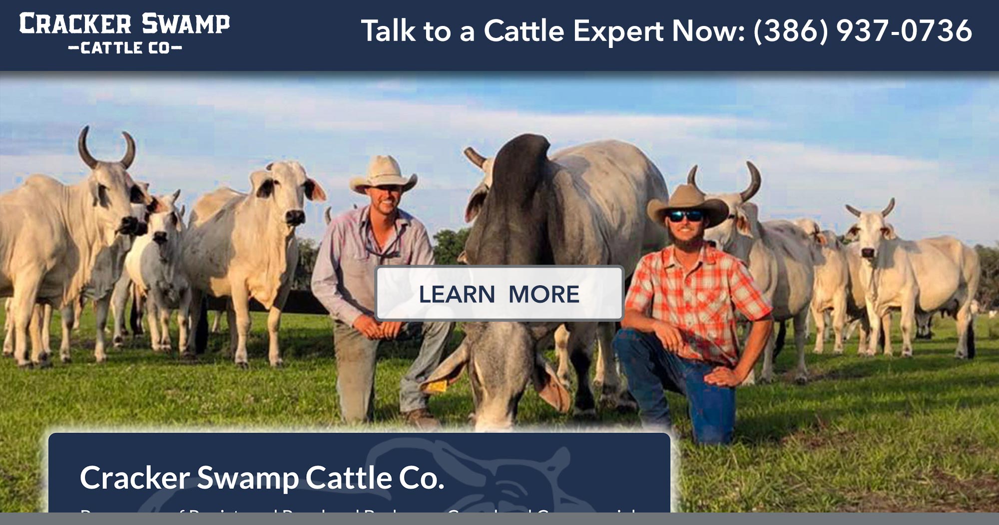 Cracker Swamp Cattle Co. | Brahman Cattle & Ranch Services